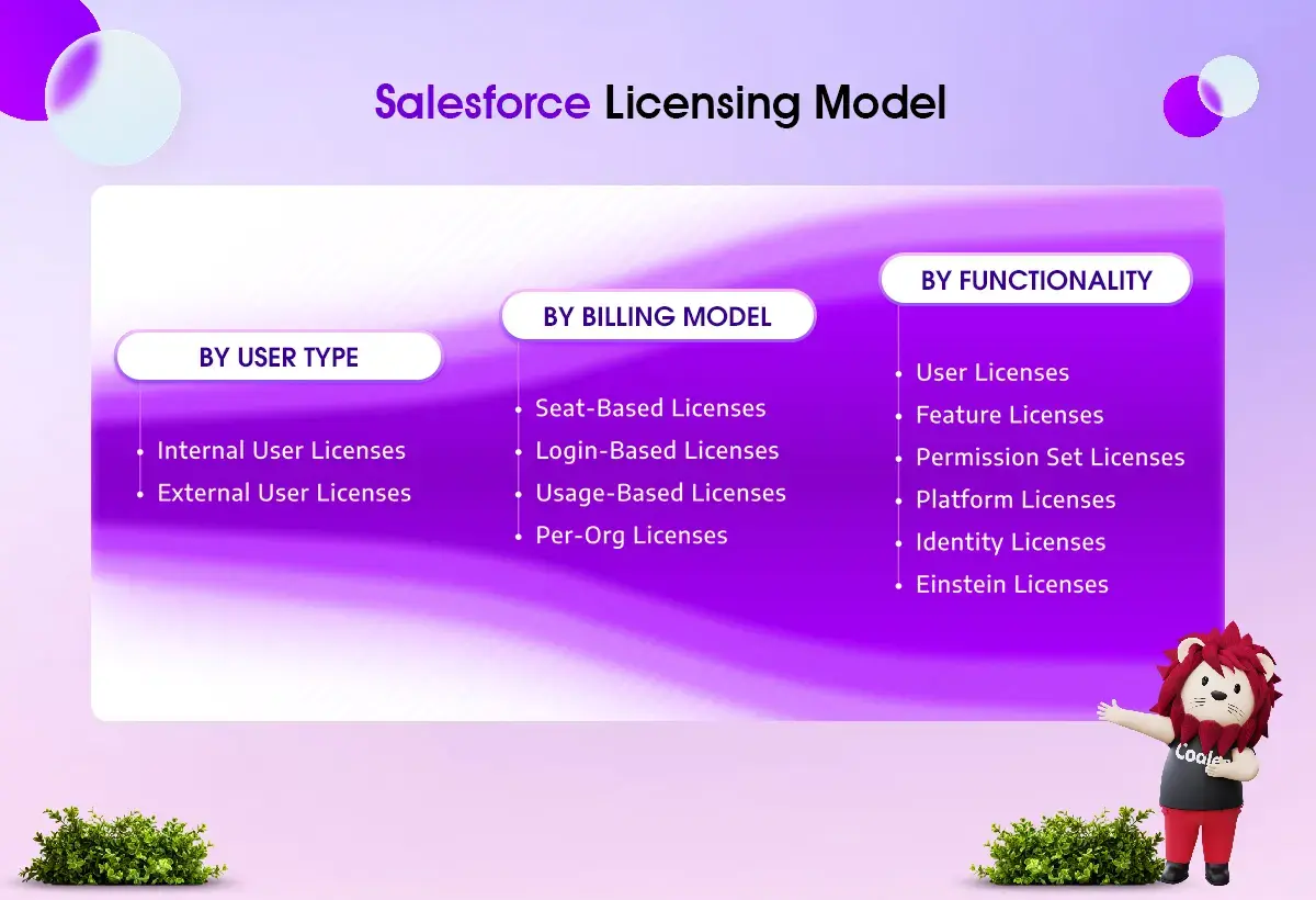 Salesforce License Types 2026 | Costs, Features & Optimization Tips