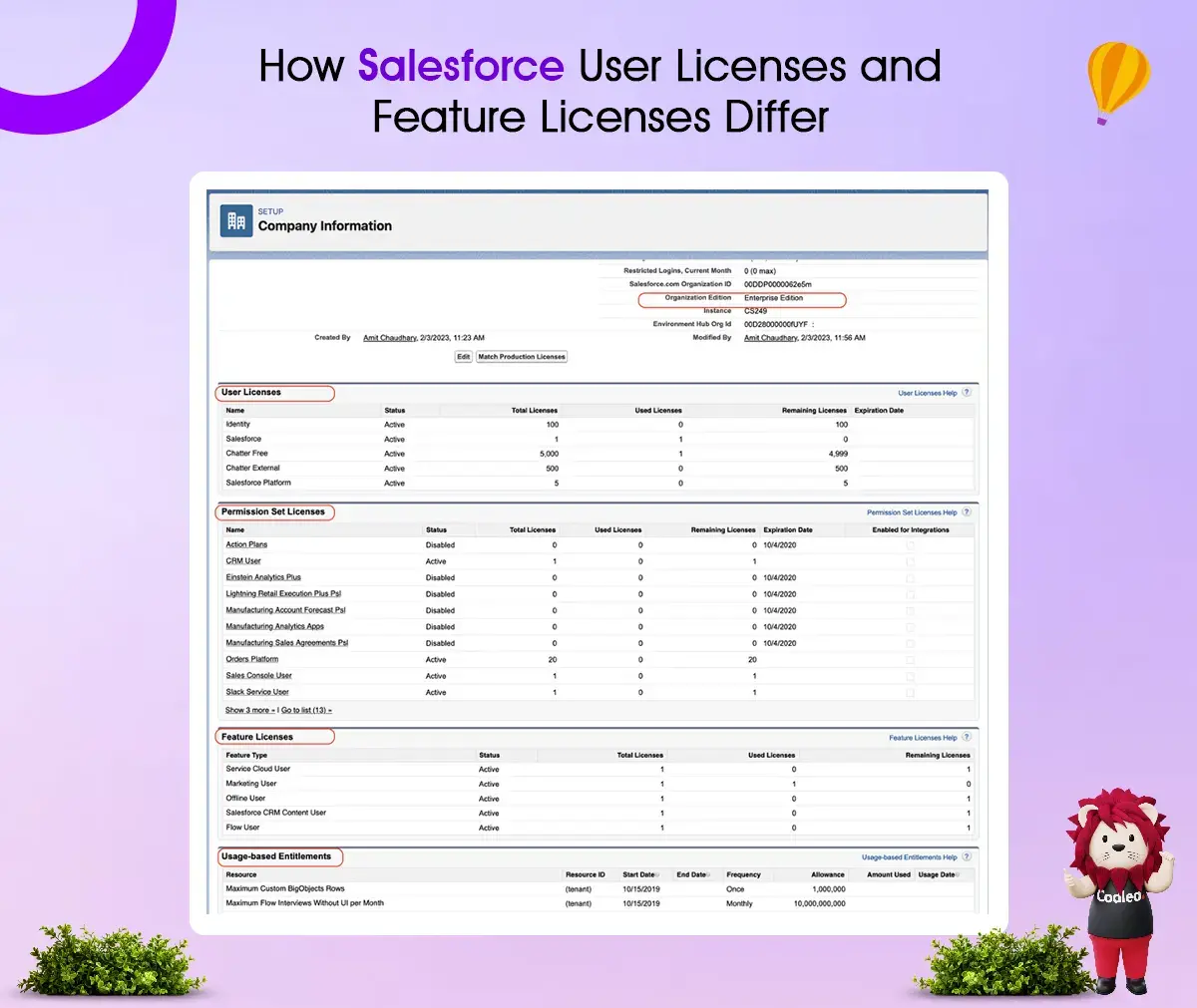 Salesforce License Types 2026 | Costs, Features & Optimization Tips
